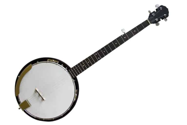 4 String Vs 5 String Banjo (Which one to choose?) - Hobby Guitarist