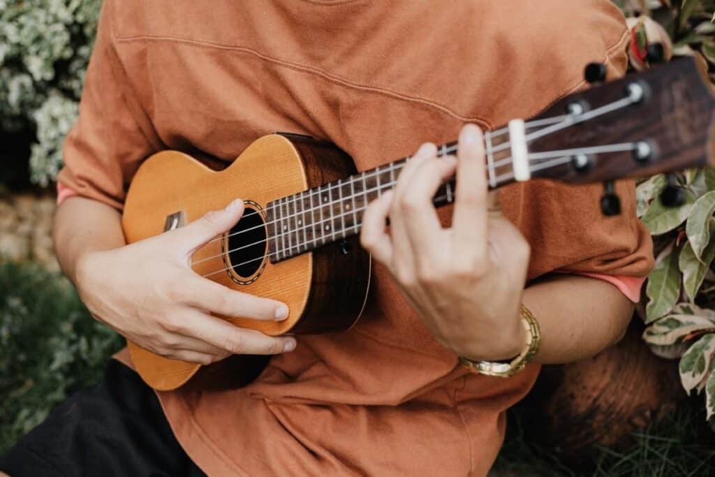 Are Ukulele Lessons Worth It Things You Should Know Hobby Guitarist