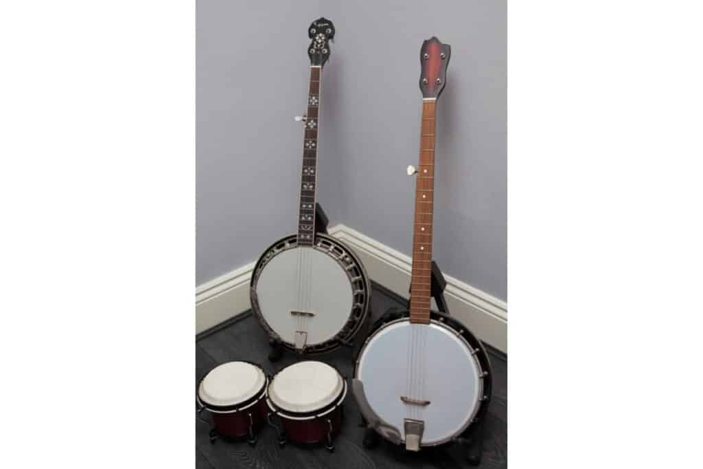 How To Store a Banjo? The Best Place to Store (Banjo Care) - Hobby ...